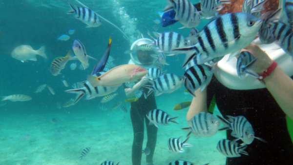 101 Best Adventure Activities to Do In India