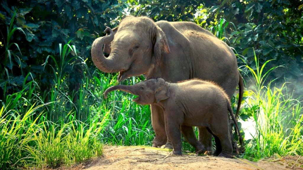 50 Amazing Places With Great Weather to Travel in December