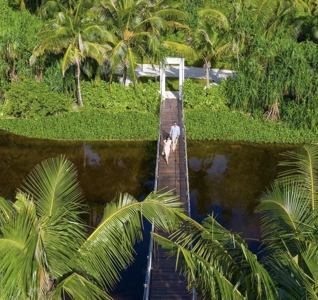 Expereince Maldives Amidst Thrilling Adventures & Culinary Delights