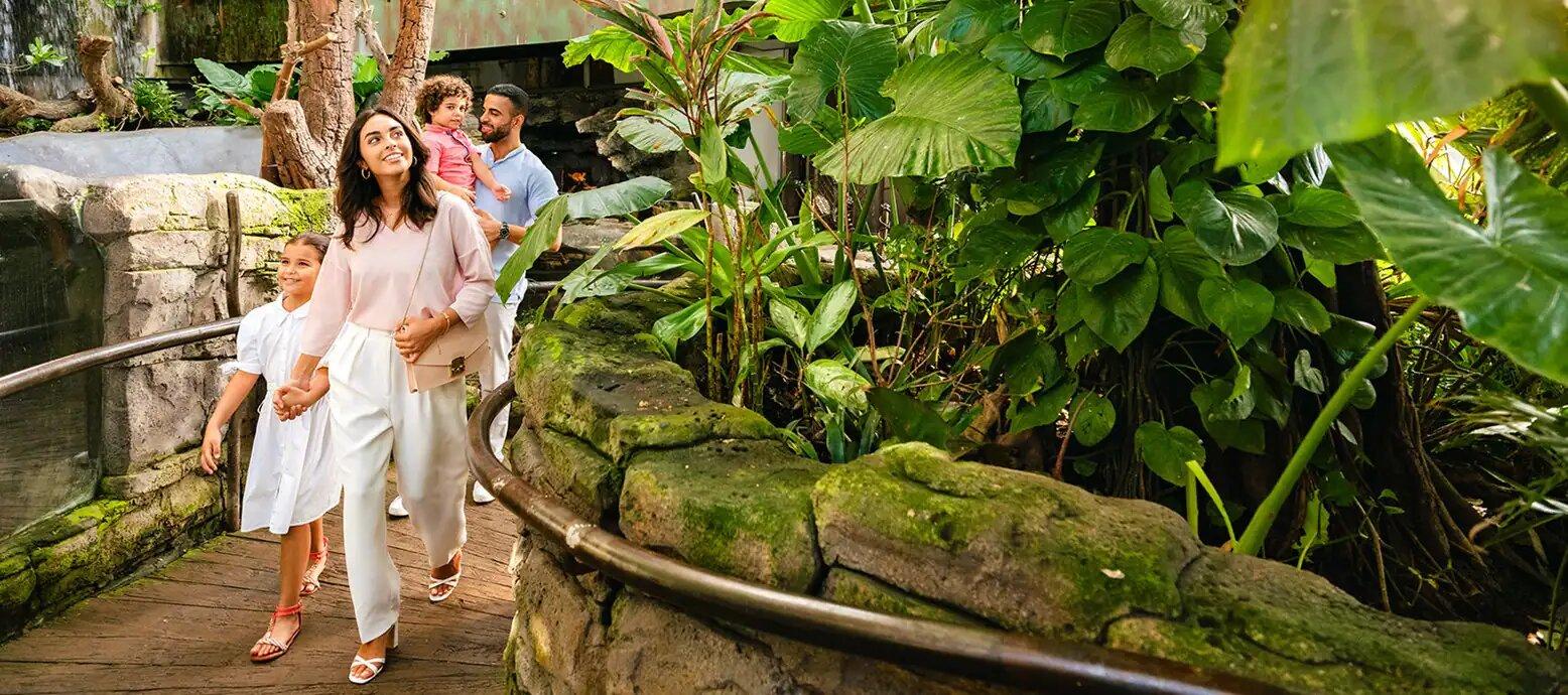 Unleash the Fun: Epic Summer Adventures for Kids in Dubai