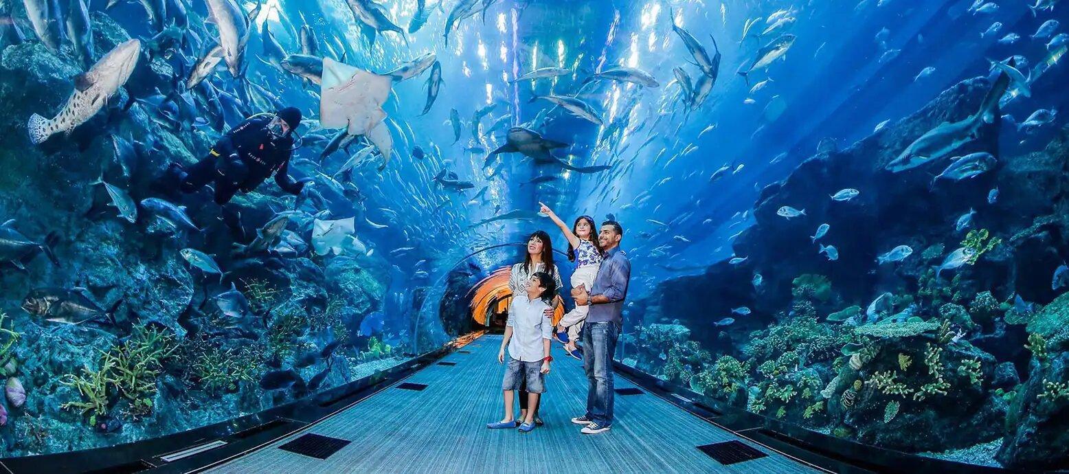 Unleash the Fun: Epic Summer Adventures for Kids in Dubai