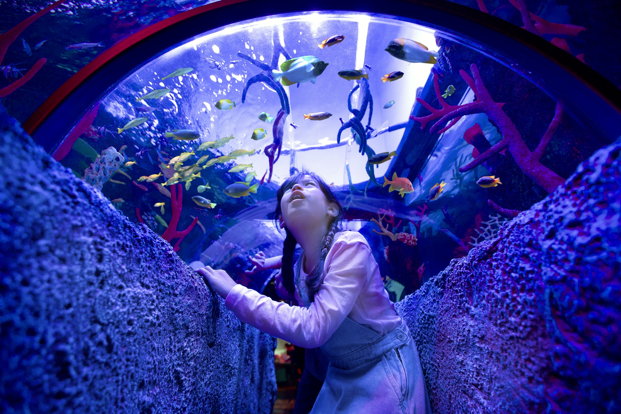 Embark on an Unforgettable LEGOLAND® Malaysia Adventure